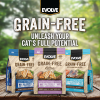 EVOLVE GRAIN FREE KITTEN FOOD – Evolve Pet Food Colombia