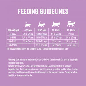 EVOLVE GRAIN FREE KITTEN FOOD – Evolve Pet Food Colombia