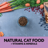 EVOLVE GRAIN FREE KITTEN FOOD – Evolve Pet Food Colombia