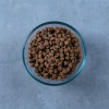 EVOLVE GRAIN FREE KITTEN FOOD – Evolve Pet Food Colombia